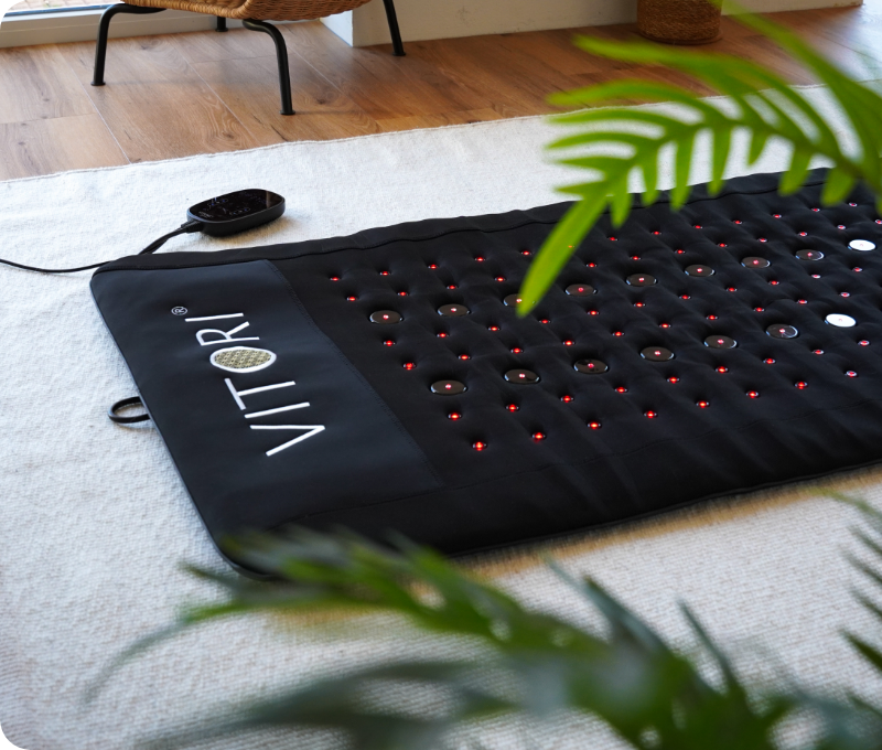 Vitori | Study -based regeneration – VITORI